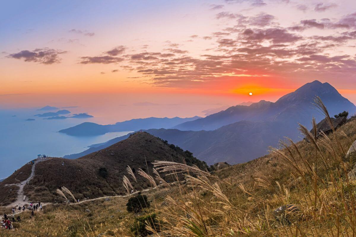 Best 15 Things to Do in Lantau Island